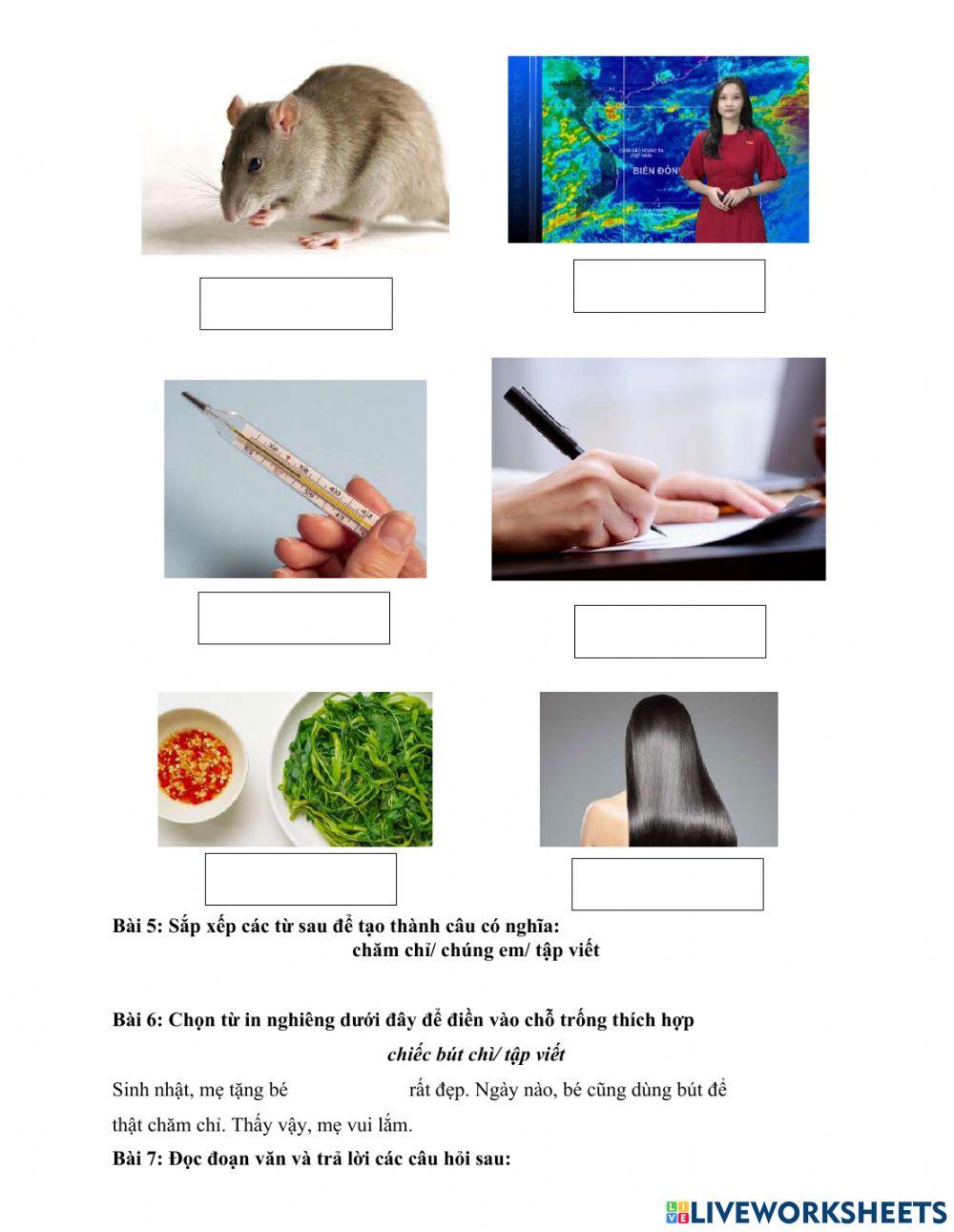 2219032 | Vietnamese | Vo Nguyen Quynh | LiveWorksheets