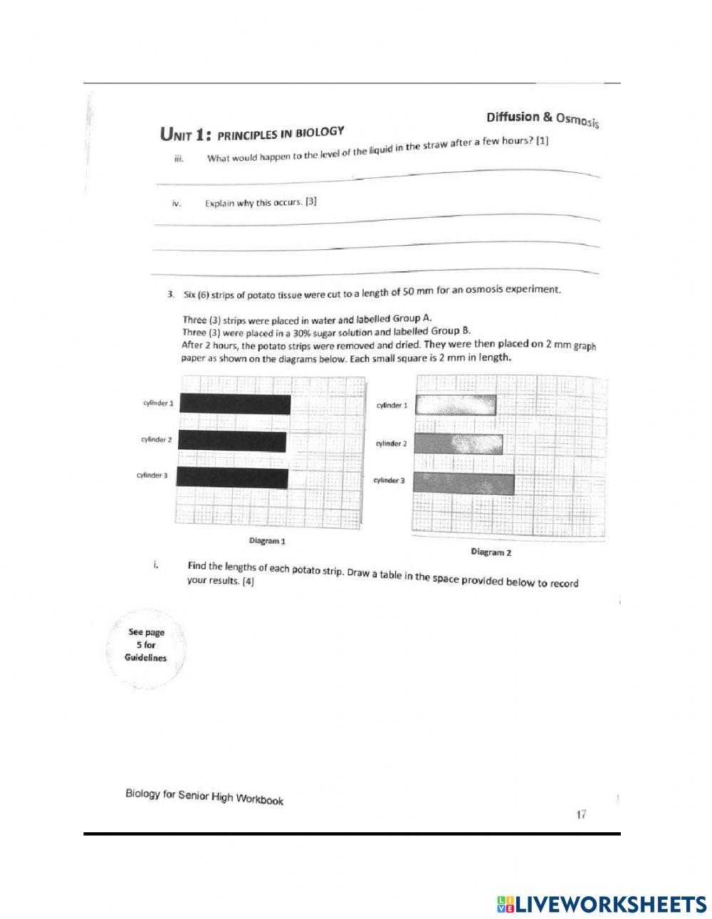 Homework in Diffusion and Osmosis online exercise for | Live Worksheets