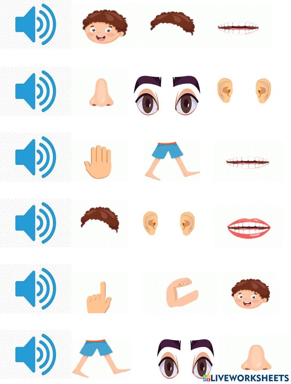 Partile corpului | Live Worksheets