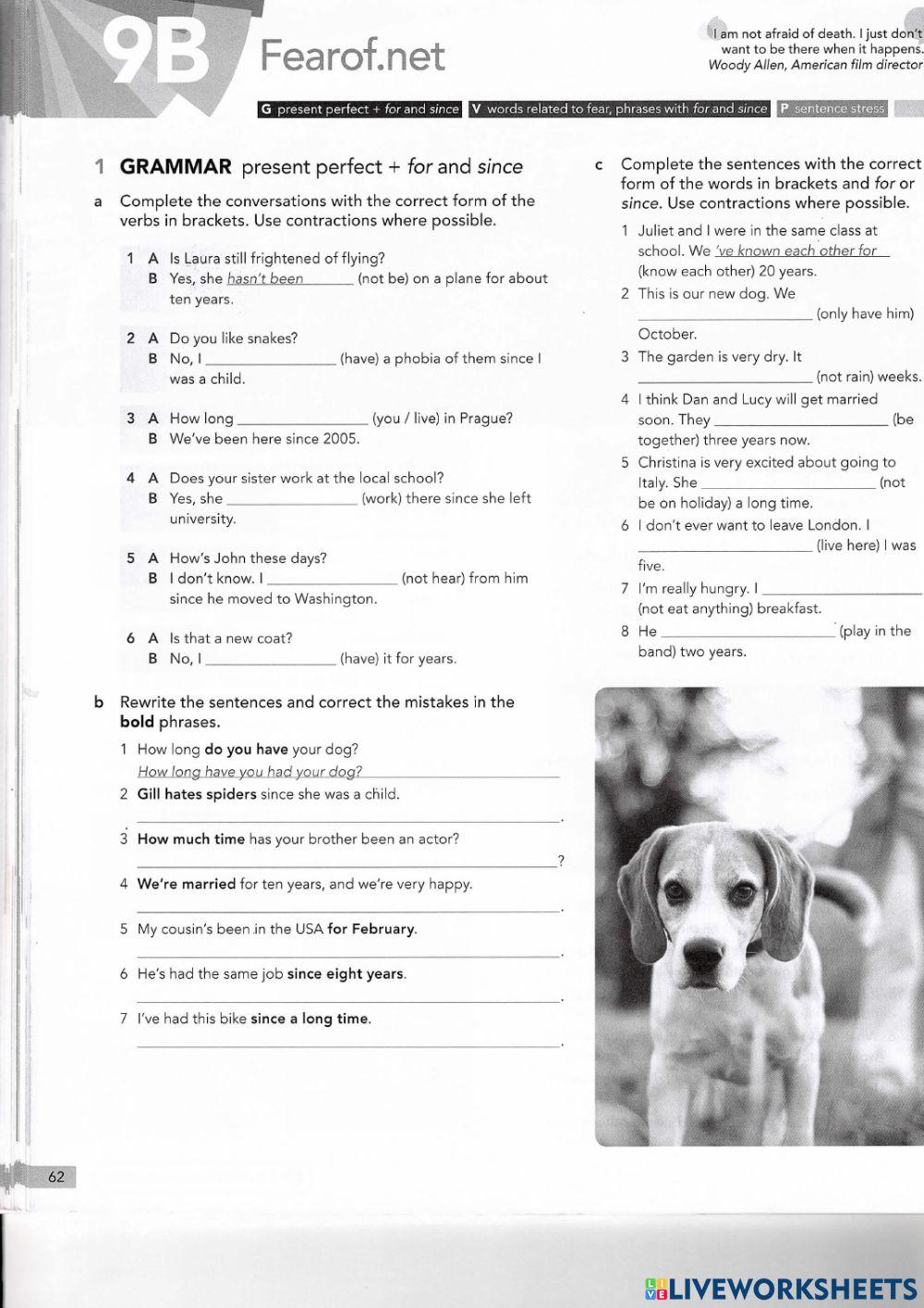 EF Pre-intermed… | Free Interactive Worksheets | 6915696