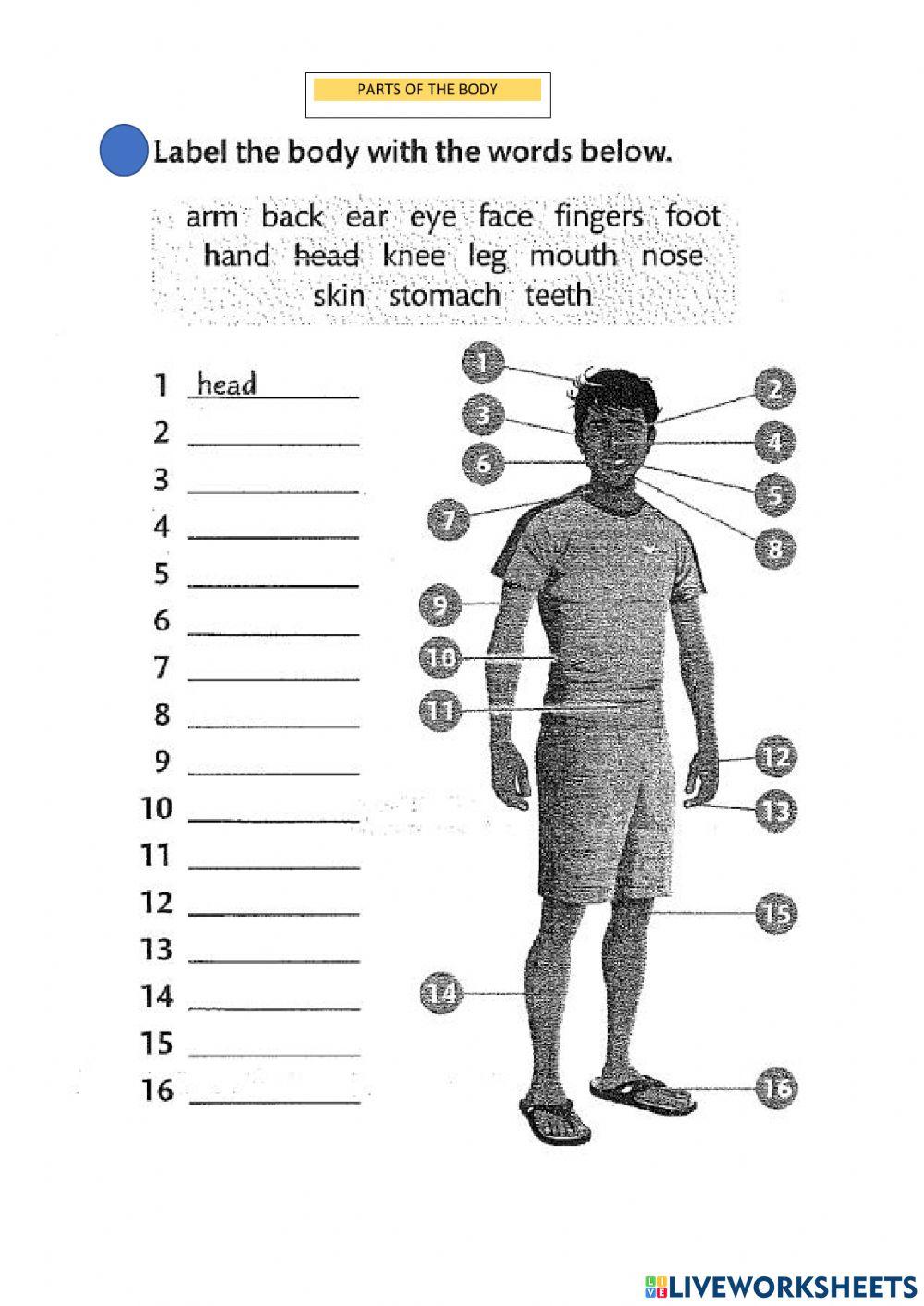 Together 1 unit… | Free Interactive Worksheets | 2220933
