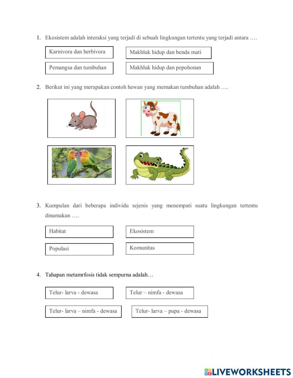 Ekosistem online exercise for 5 | Live Worksheets