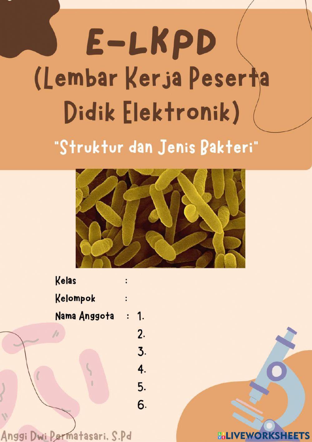 ELKPD STRUKTUR DAN JENIS BAKTERI 4038828 | anggi dwi