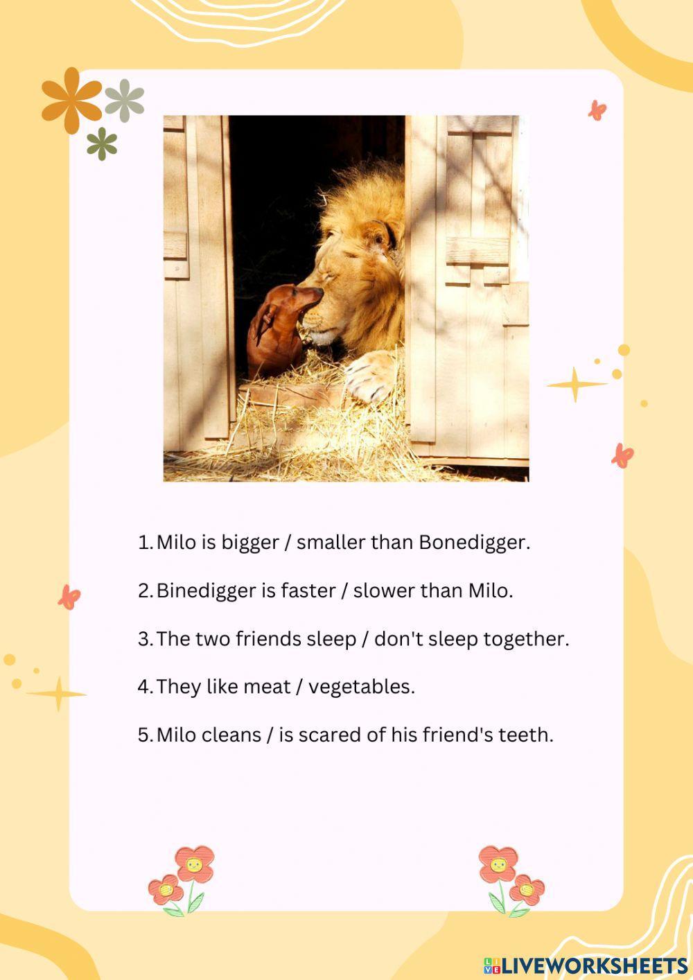 Milo and Bonedigger listening worksheet | Live Worksheets