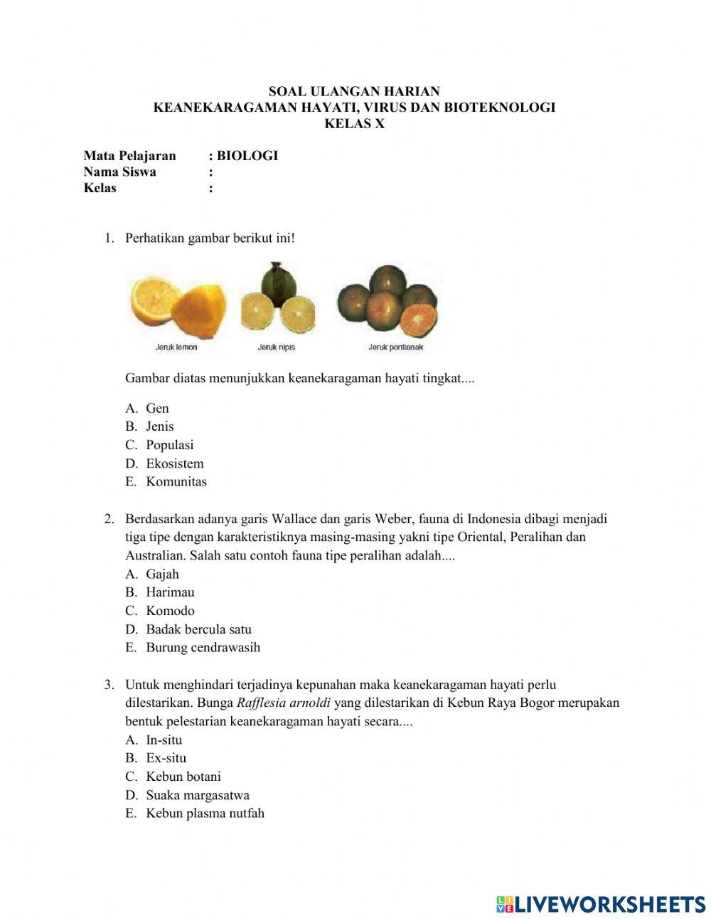Biologi online worksheet for X | Live Worksheets