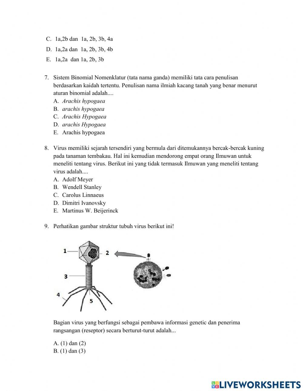 Biologi online worksheet for X | Live Worksheets