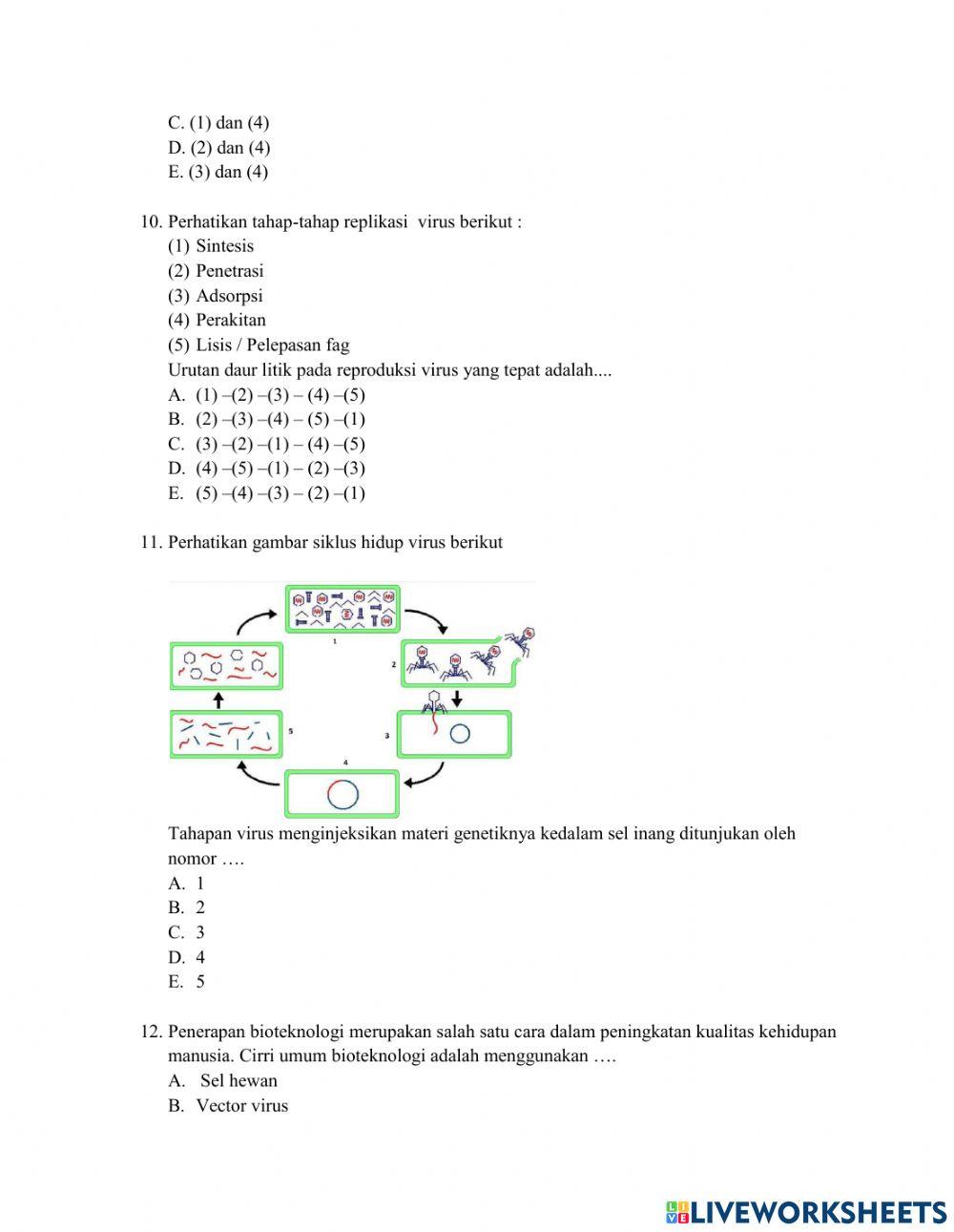 Biologi online worksheet for X | Live Worksheets