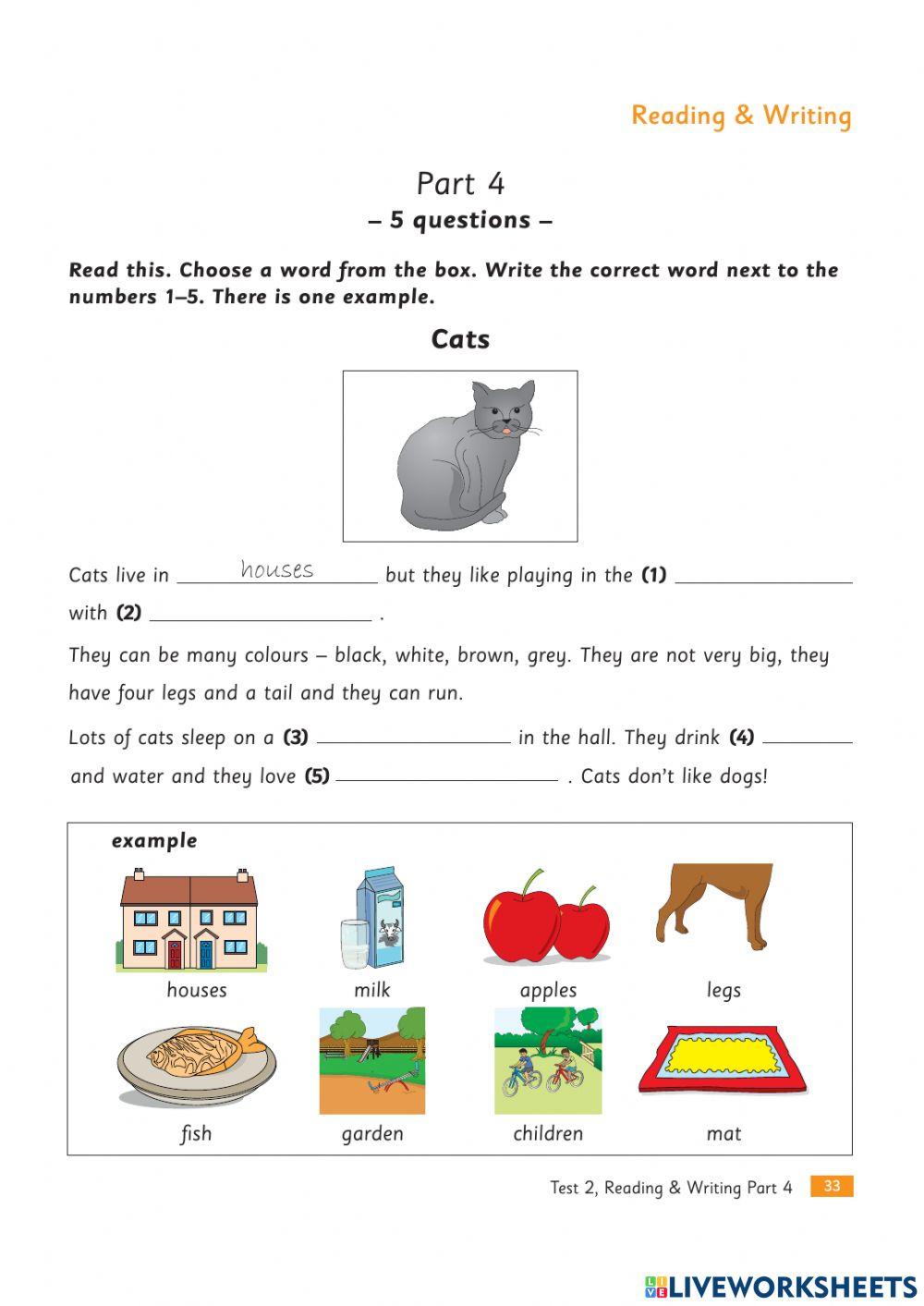 starters practi… | Free Interactive Worksheets | 2883492