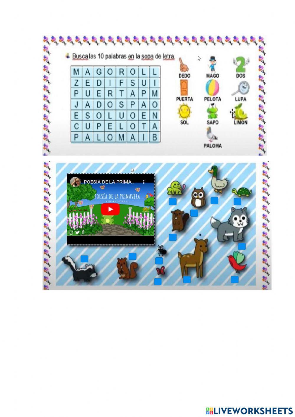 Modelo de programa worksheet | Live Worksheets