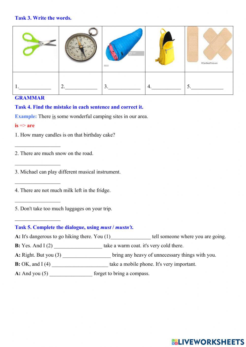 E.6-topic 5-looking back worksheet | Live Worksheets