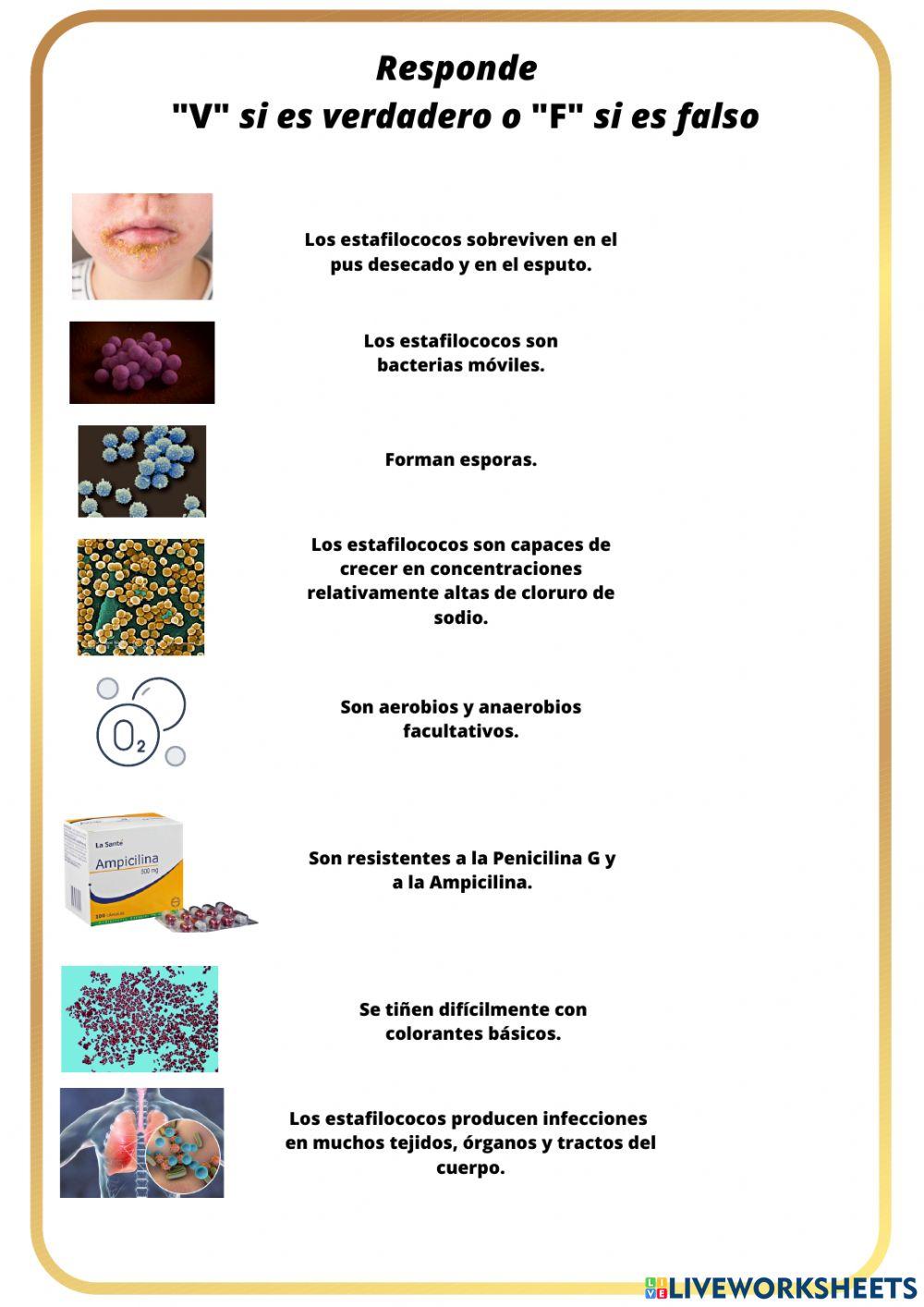 Staphylococcus Aureus online exercise for | Live Worksheets