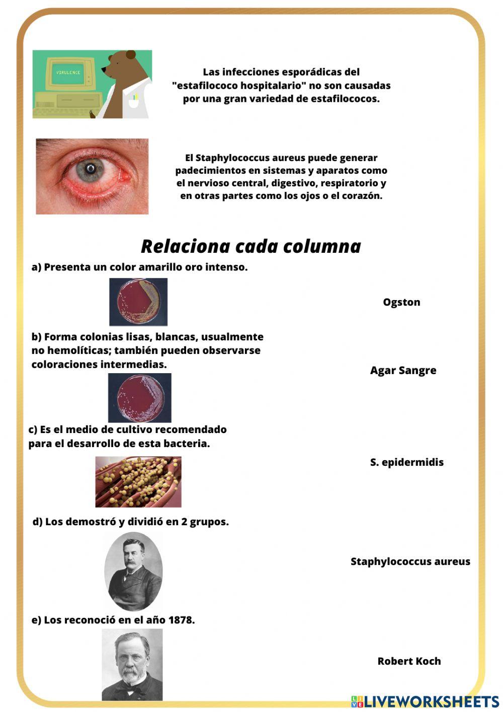 Staphylococcus Aureus online exercise for | Live Worksheets