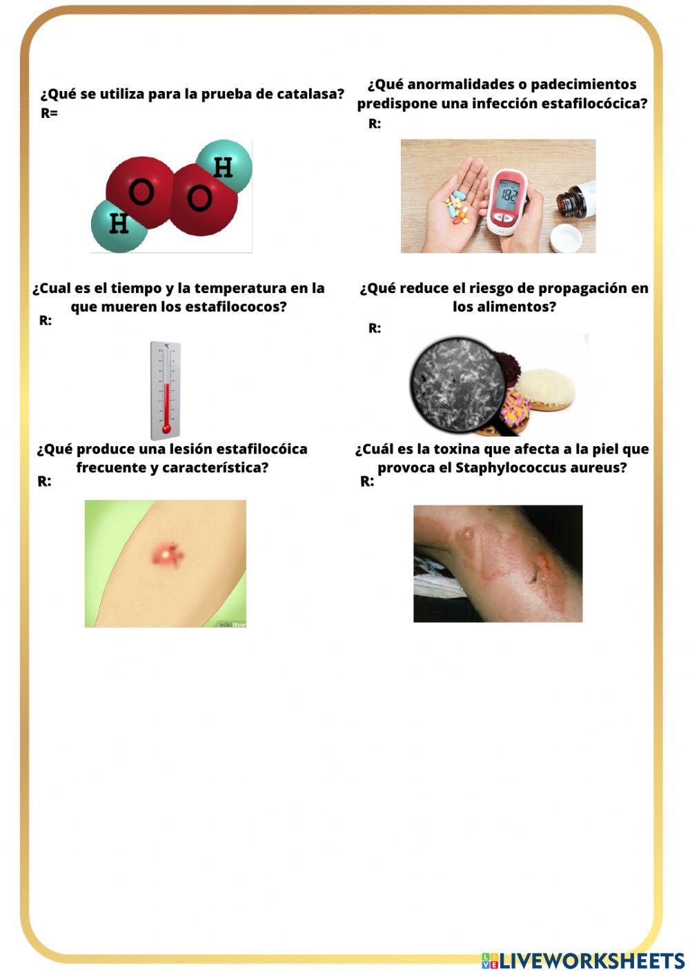 Staphylococcus Aureus online exercise for | Live Worksheets