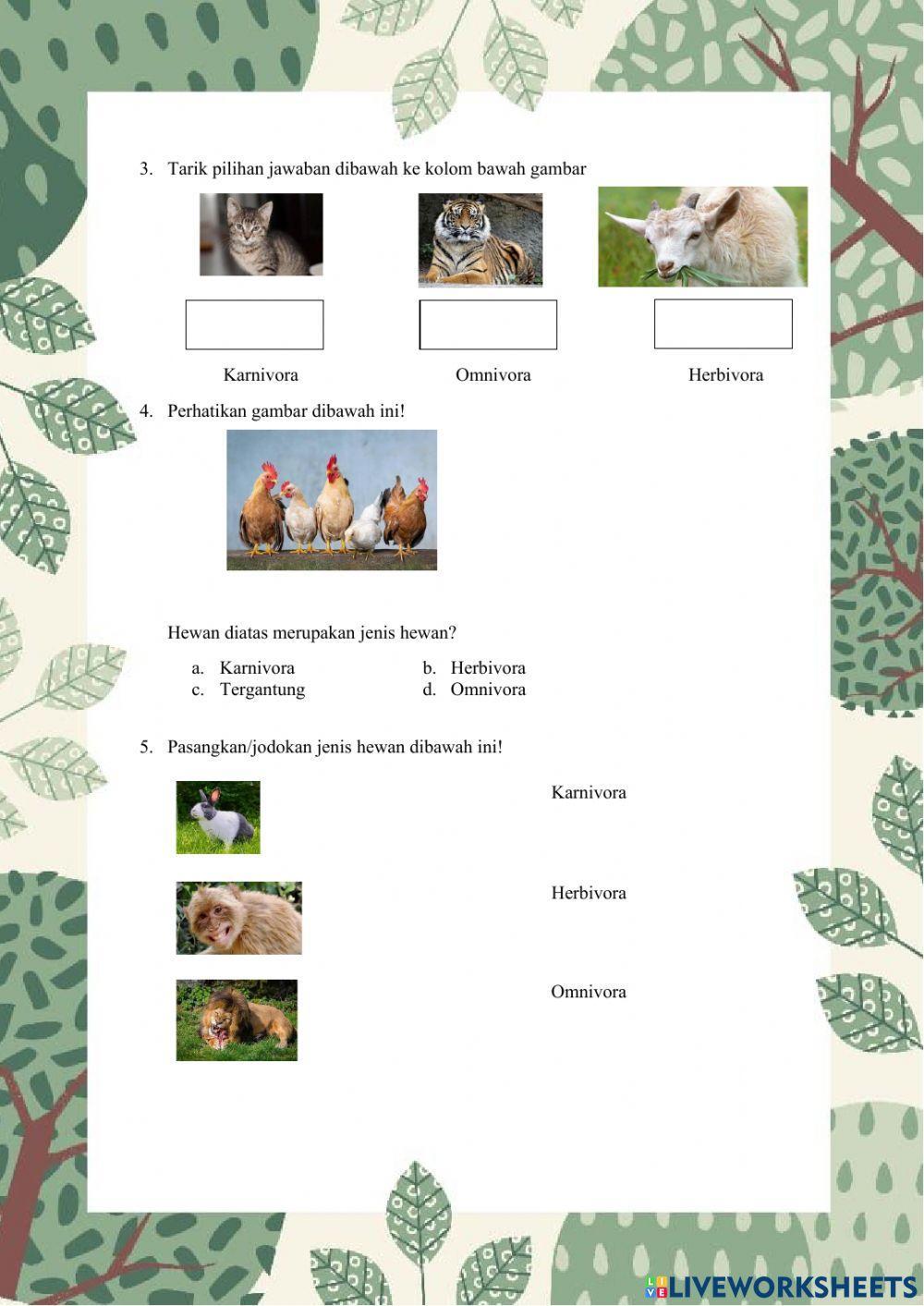 Jenis Hewan online exercise | Live Worksheets