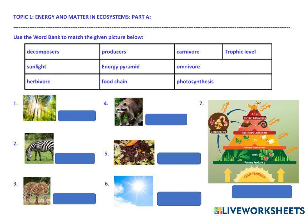 Branches Of Science Interactive Worksheet Live Worksheets, 45% OFF Branches Of Science Interactive Worksheet Live Worksheets, 45% OFF