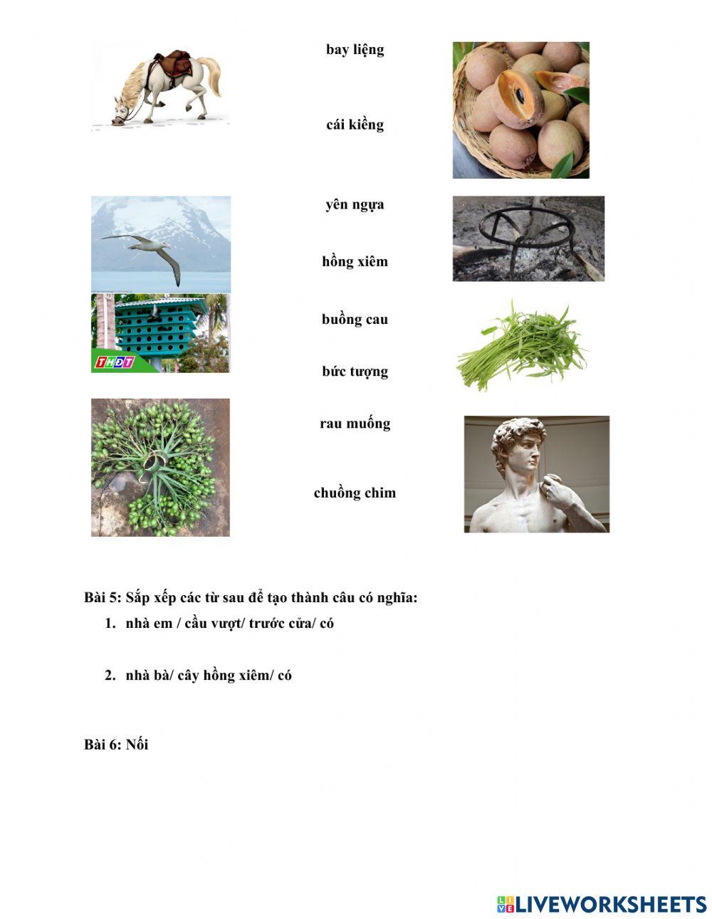 Vietnamese online activity for 1 | Live Worksheets
