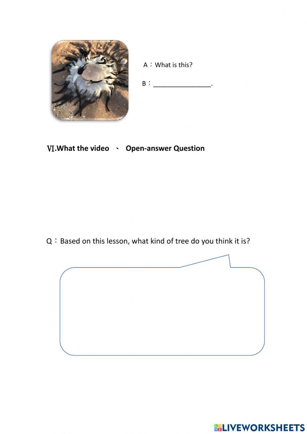 Who is she ? interactive worksheet | Live Worksheets