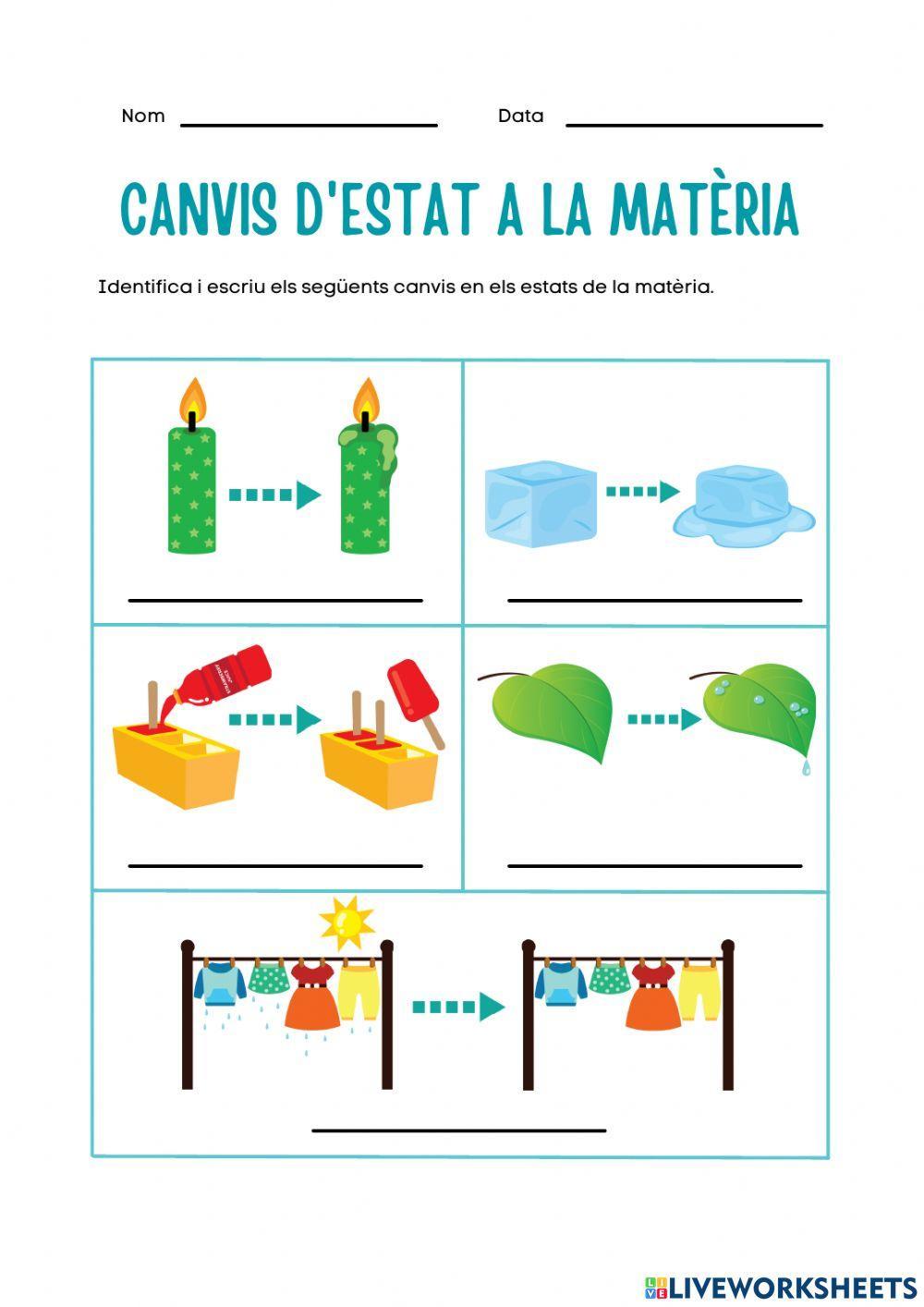 Canvis d'estat de la matèria worksheet | Live Worksheets