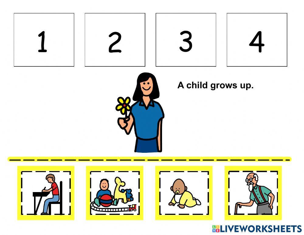 Growing child worksheet | Live Worksheets