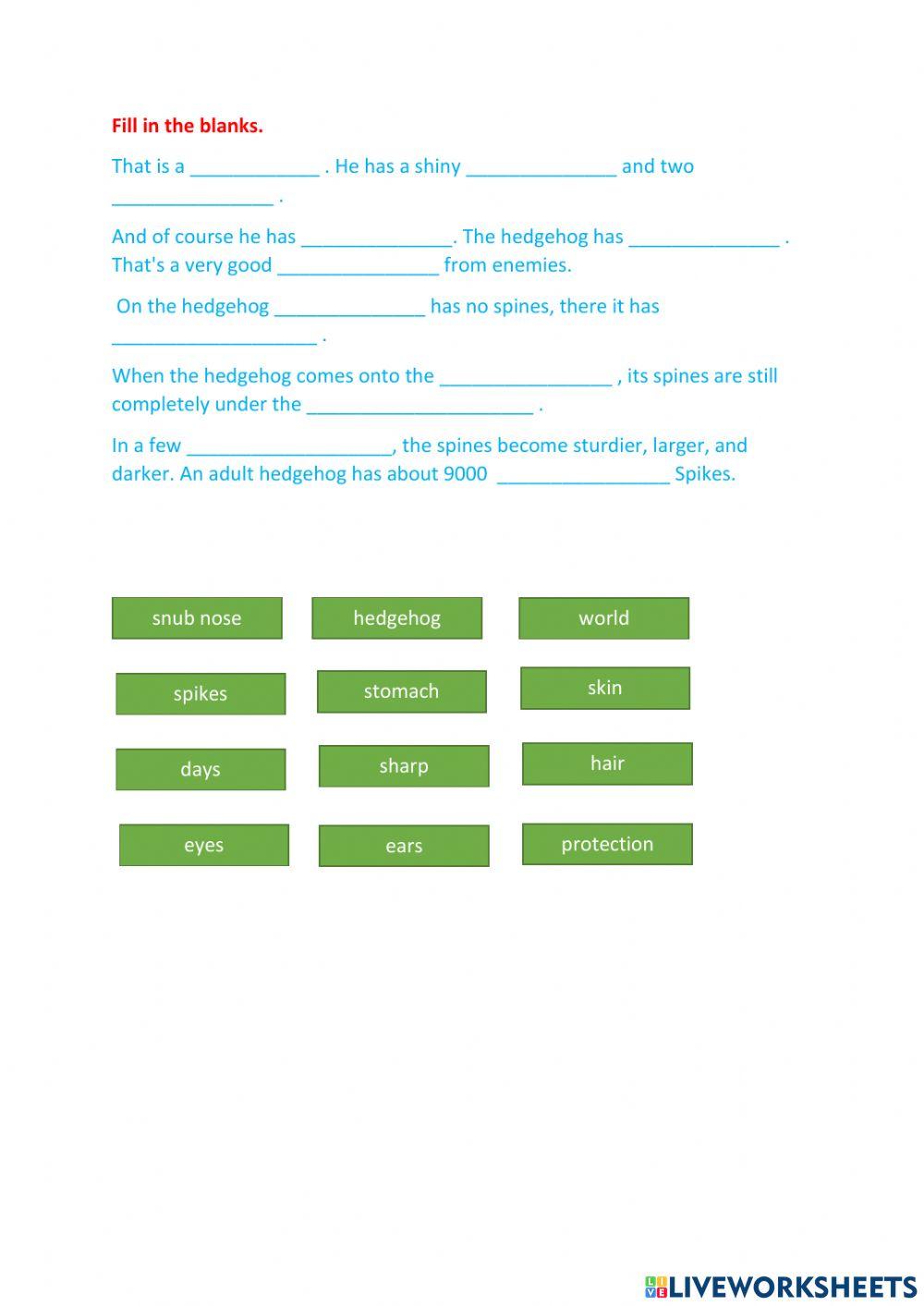 IGELSTACHELN online exercise for | Live Worksheets