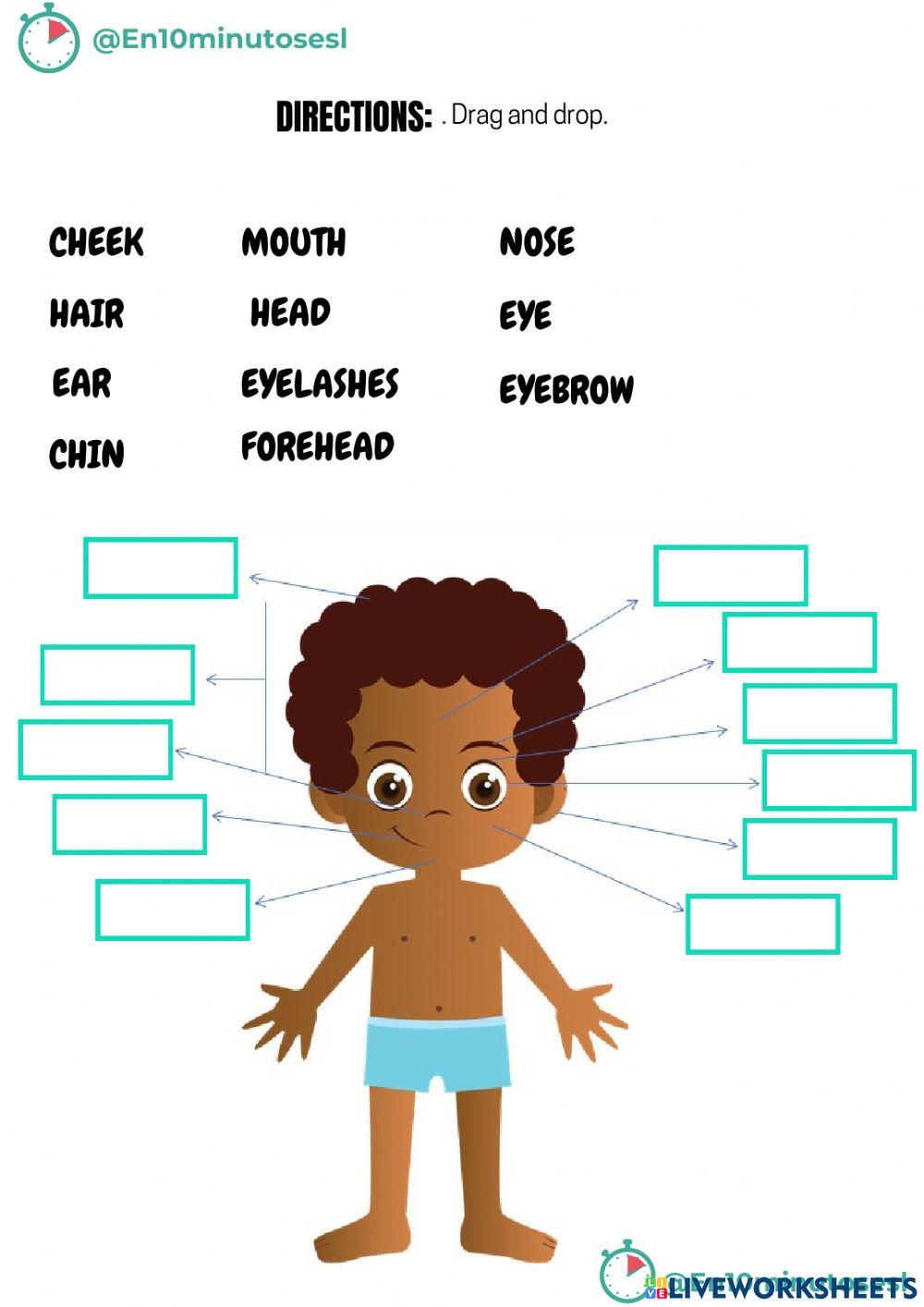 2201097 | Body parts (head) | clasesonline01