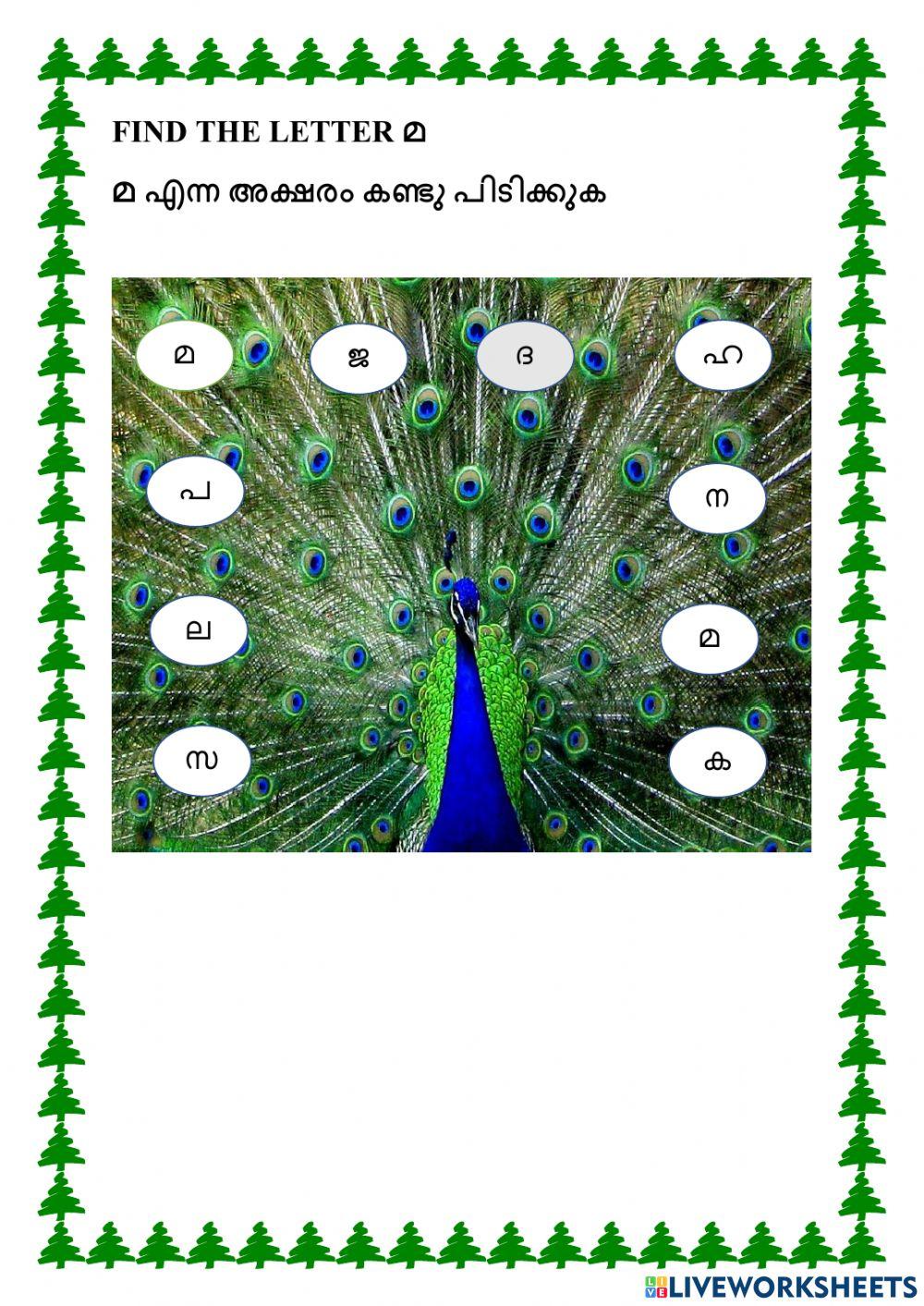 Malayalam alpha… | Free Interactive Worksheets | 2201987