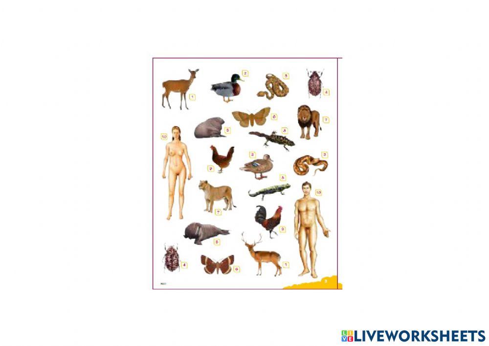 interactive exercise for .. | Live Worksheets