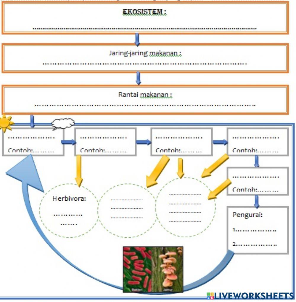 Peta pikiran interactive activity | Live Worksheets