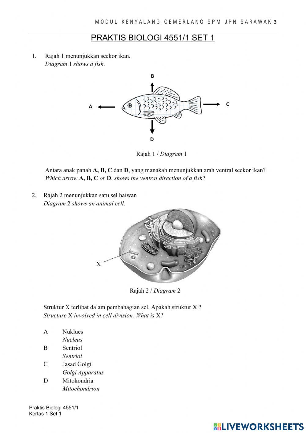 Biologi | LiveWorksheets | 2204491