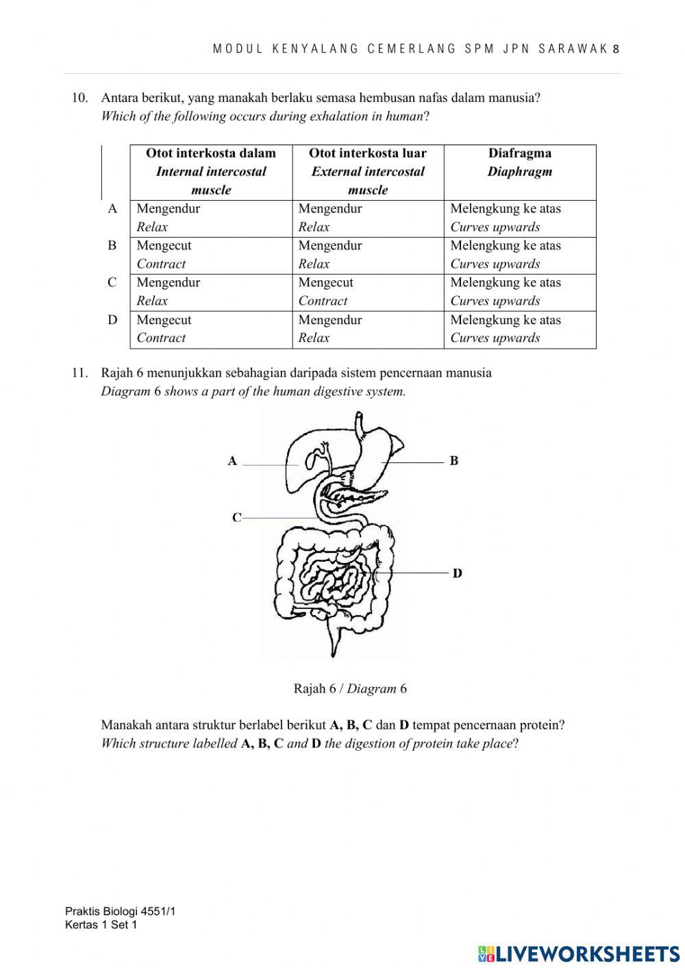 Biologi | LiveWorksheets | 2204491