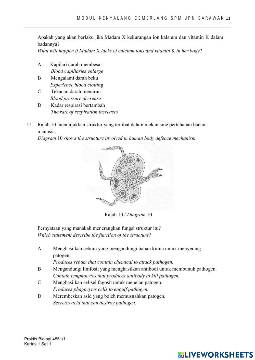 Biologi | LiveWorksheets | 2204491