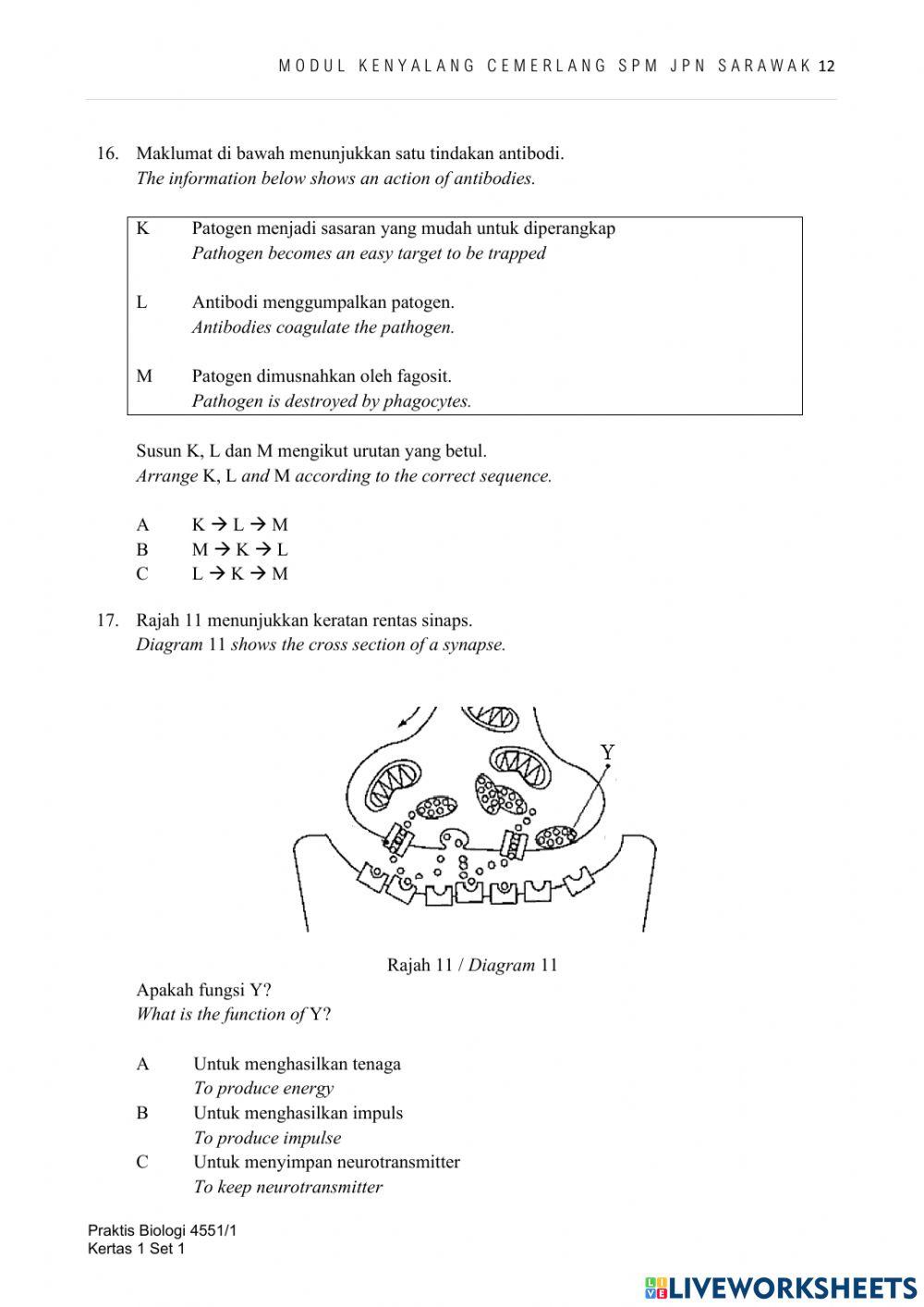 Biologi interactive activity for Grade 12 | Live Worksheets