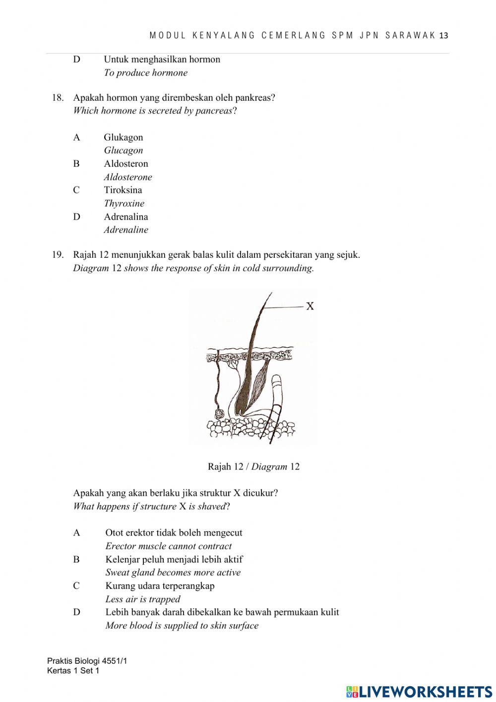 Biologi interactive activity for Grade 12 | Live Worksheets