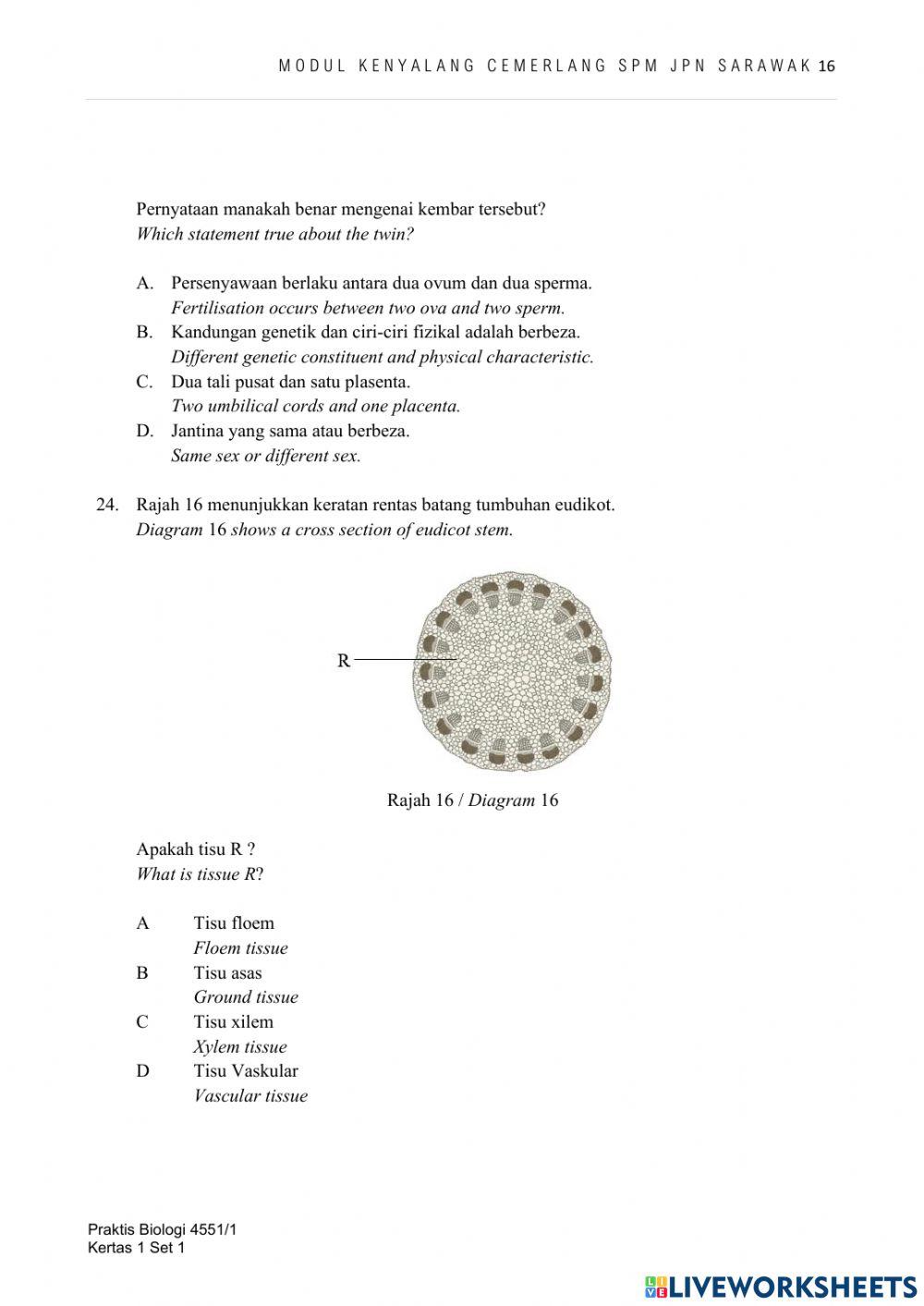 Biologi interactive activity for Grade 12 | Live Worksheets
