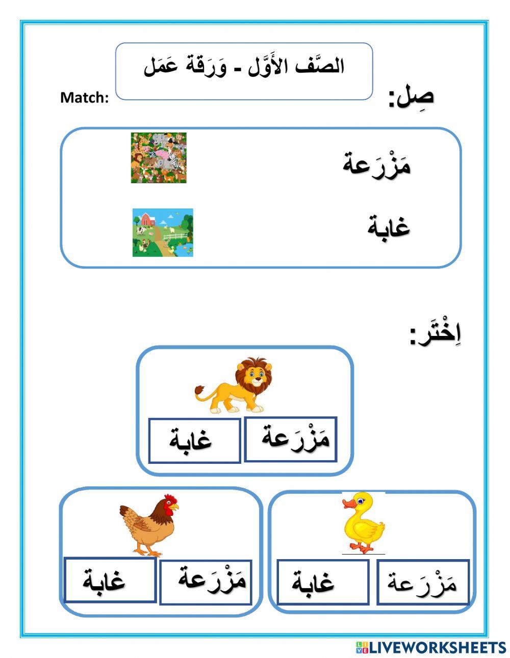 live worksheet 3 online exercise for | Live Worksheets