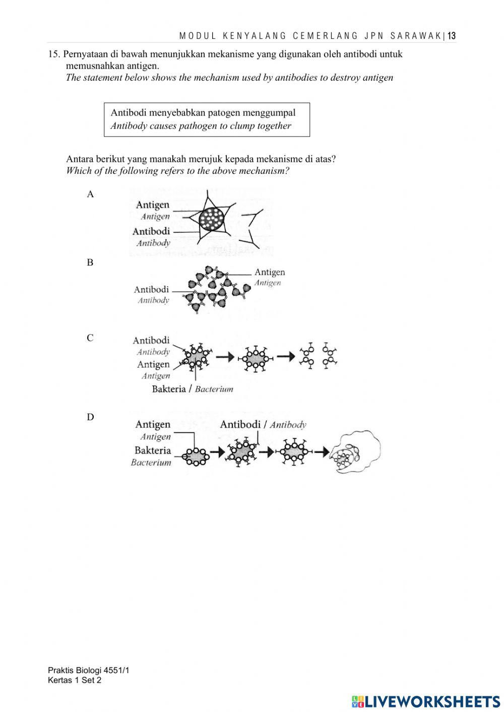 Biologi worksheet for Grade 12 | Live Worksheets