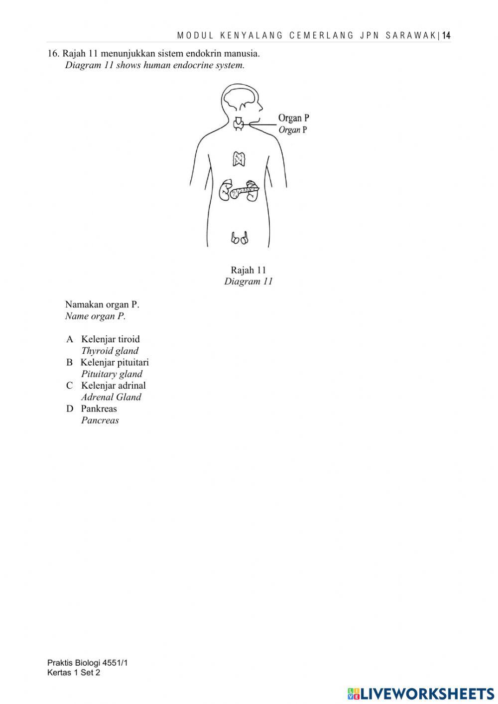Biologi worksheet for Grade 12 | Live Worksheets