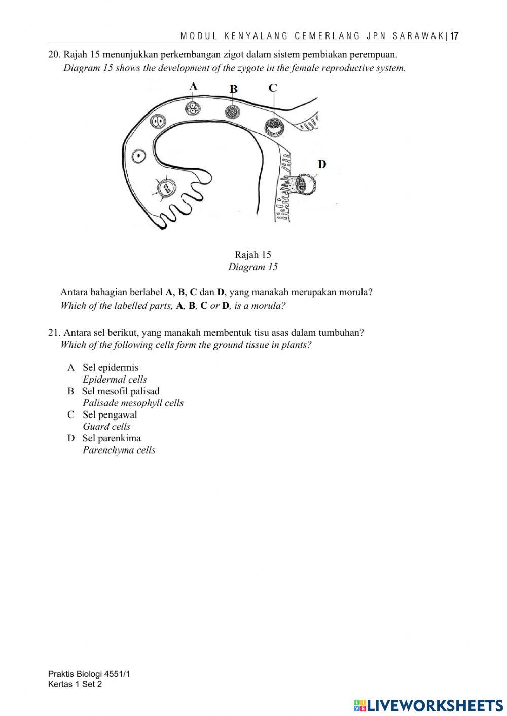 Biologi worksheet for Grade 12 | Live Worksheets