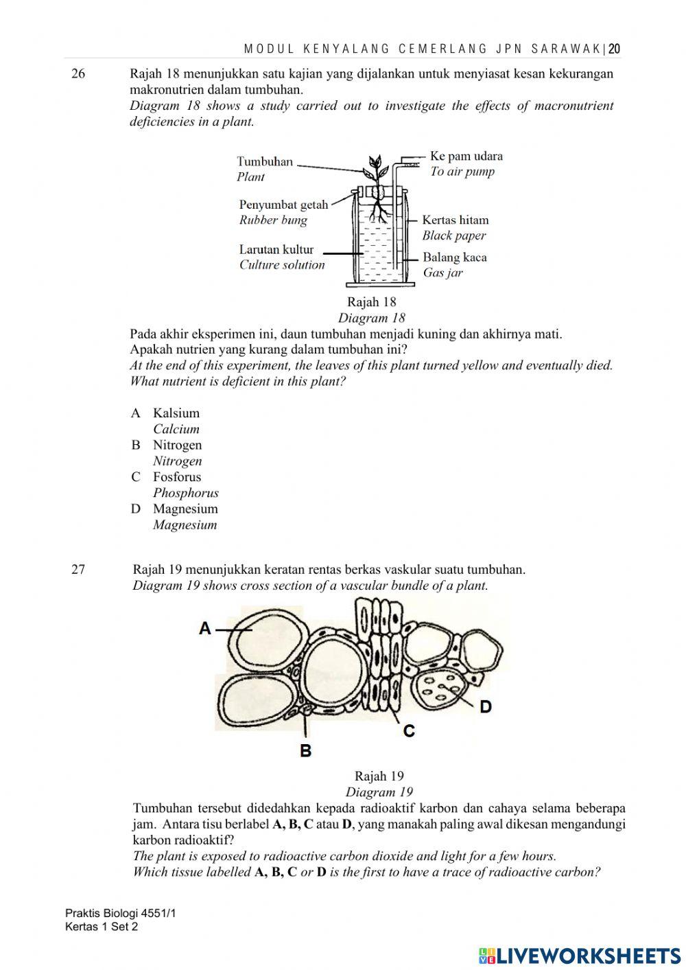 Biologi worksheet for Grade 12 | Live Worksheets