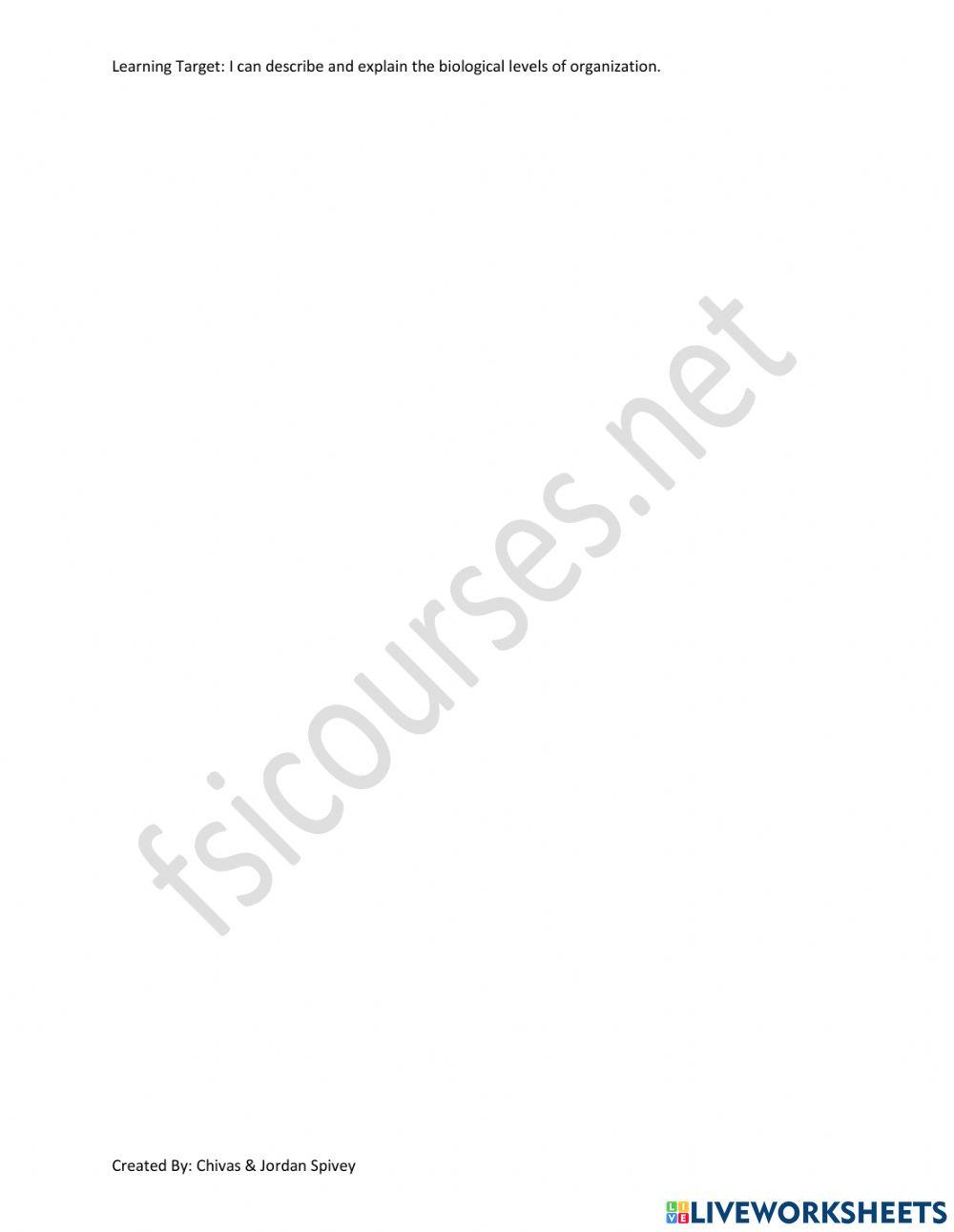 Levels of Biolo… | Free Interactive Worksheets | 6917895