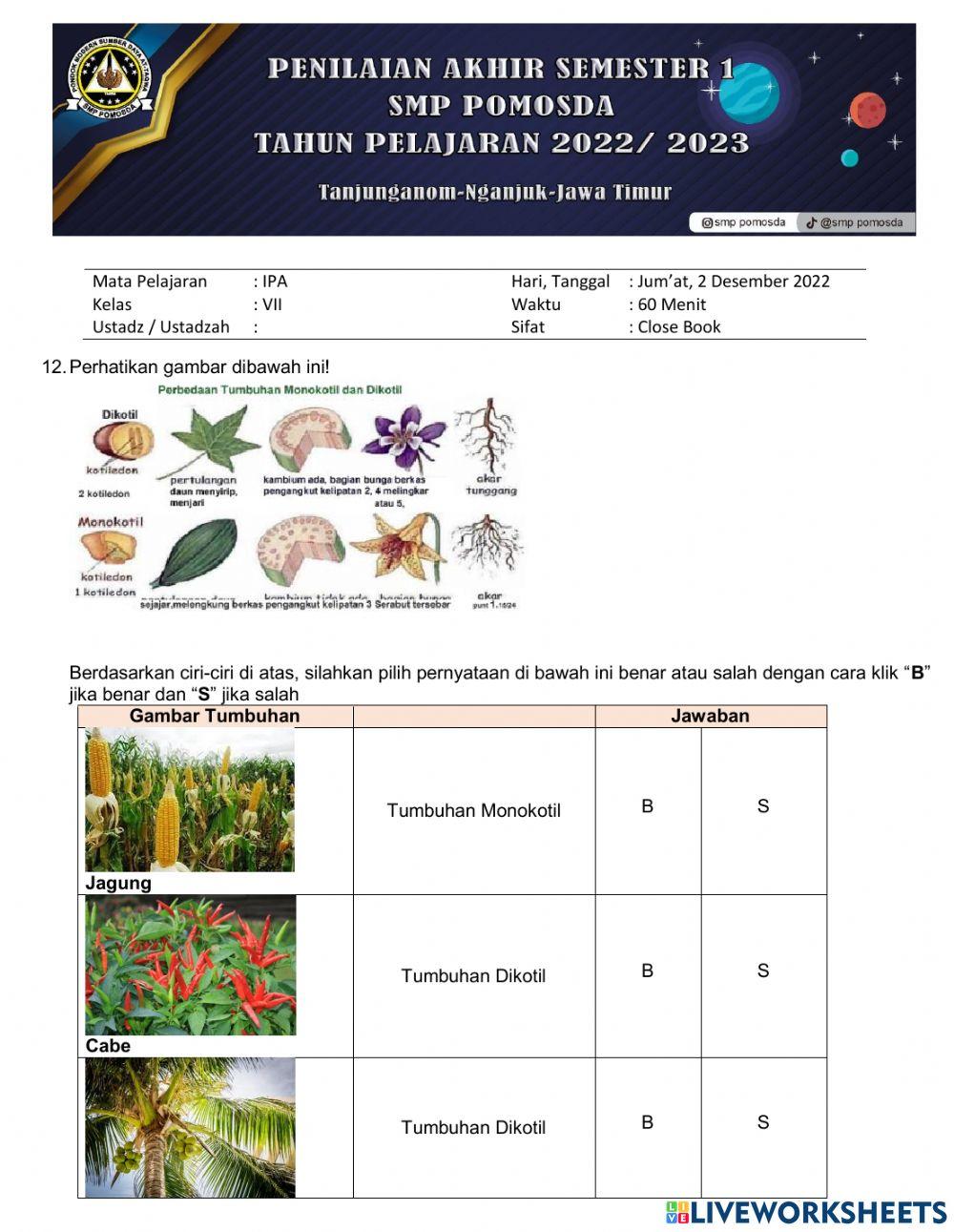 Pas Halaman 2 worksheet | Live Worksheets