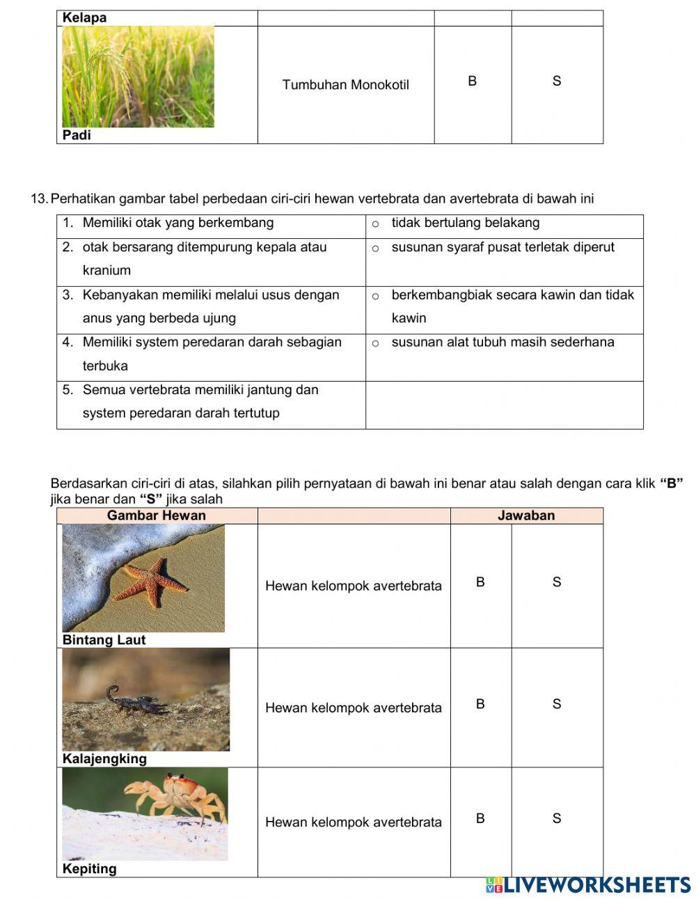 Pas Halaman 2 worksheet | Live Worksheets