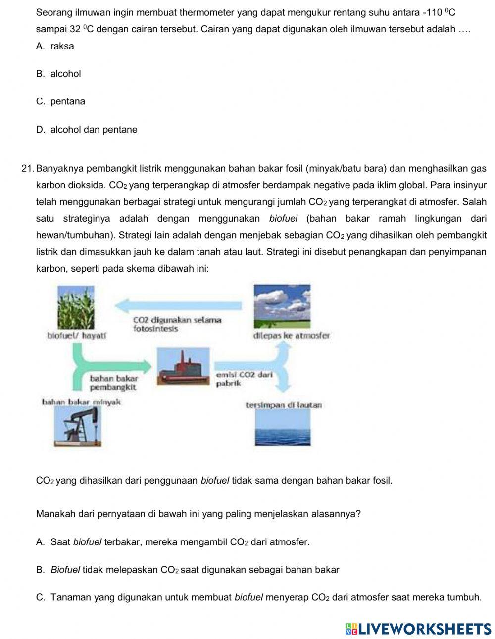 Pas Halaman 2 worksheet | Live Worksheets