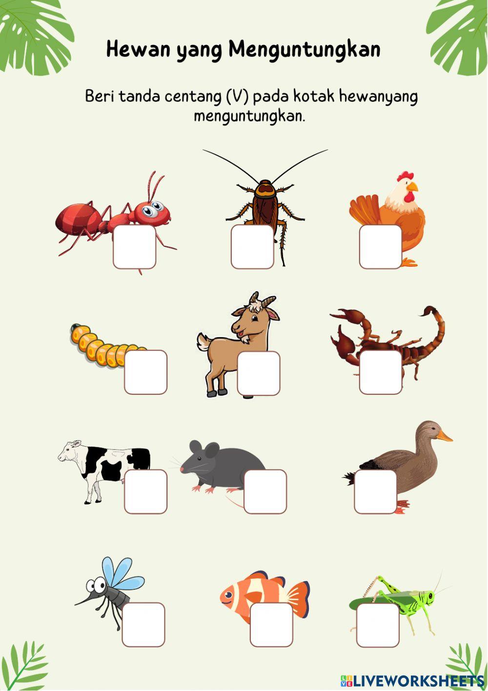 Hewan mengutungkan dan manfaatnya worksheet | Live Worksheets