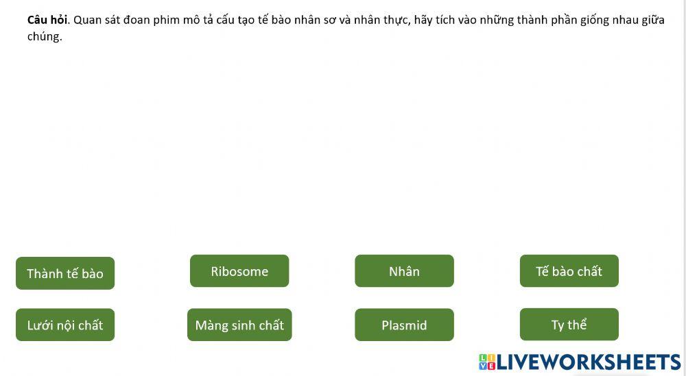 Phim so sánh nhân sơ và nhân thực hộp kiểm worksheet | Live Worksheets