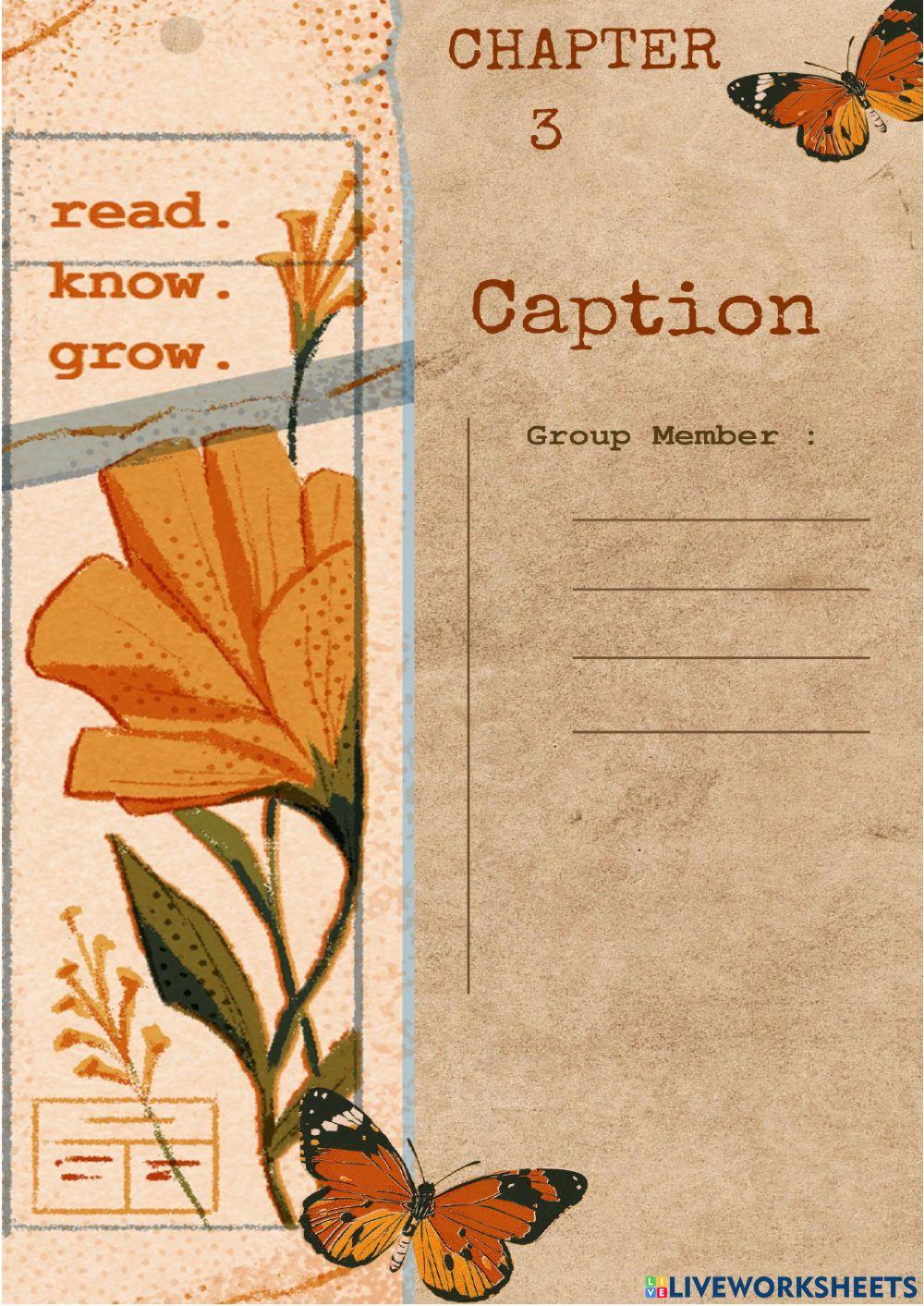 Chapter 3: Caption 2498789 | IKA07 | Live Worksheets