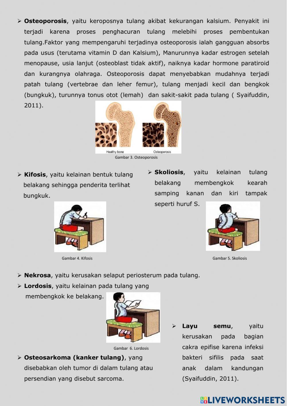 2242546 | E-book interaktif | Tia Mutiara