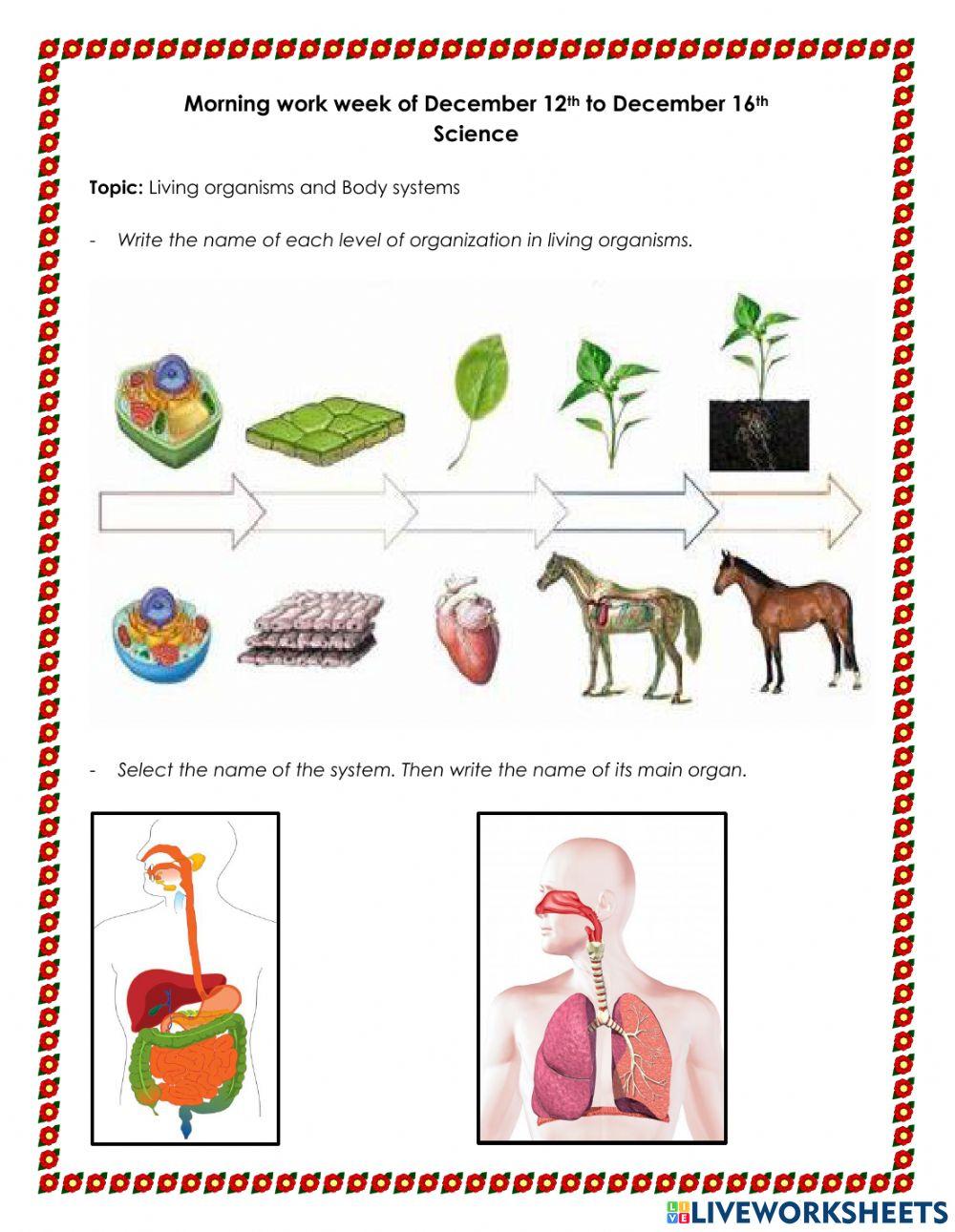 Morning Work Science - Dec 12th to Dec 16th 2242652