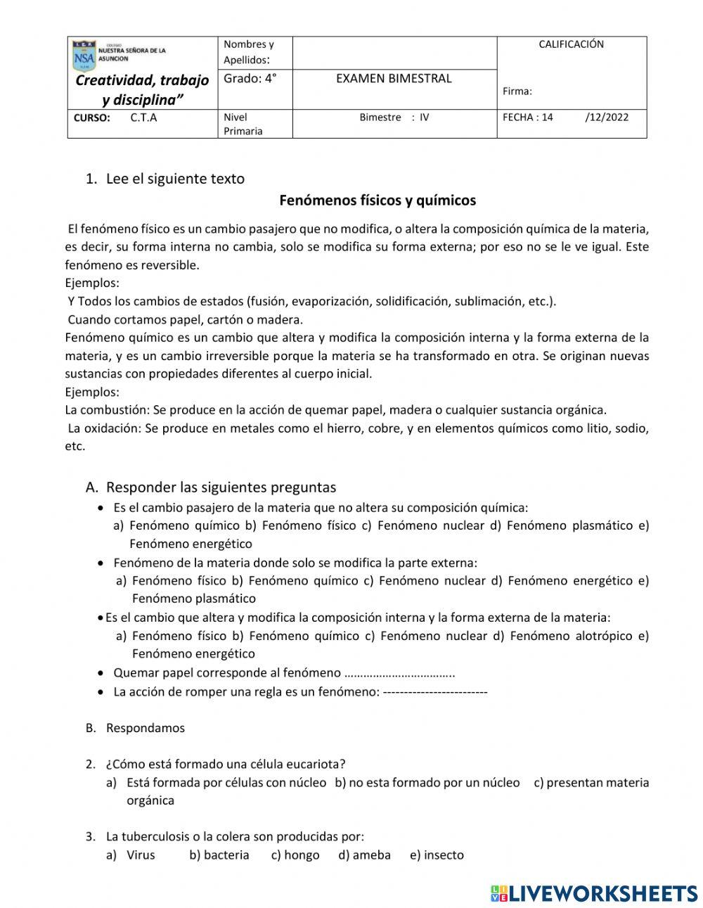 2244769 | Examen CTA | Danne Grece Carhuaz Guerrero