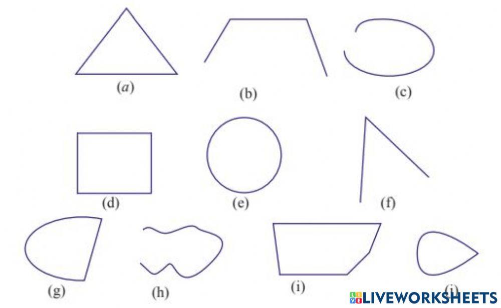 Lines free worksheet | Live Worksheets